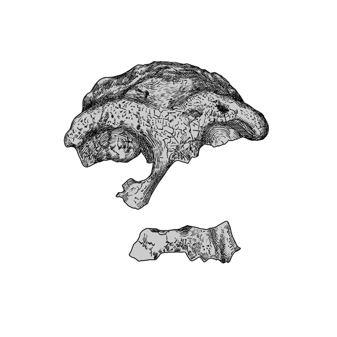 Twoucan - John Hawks (@johnhawks)