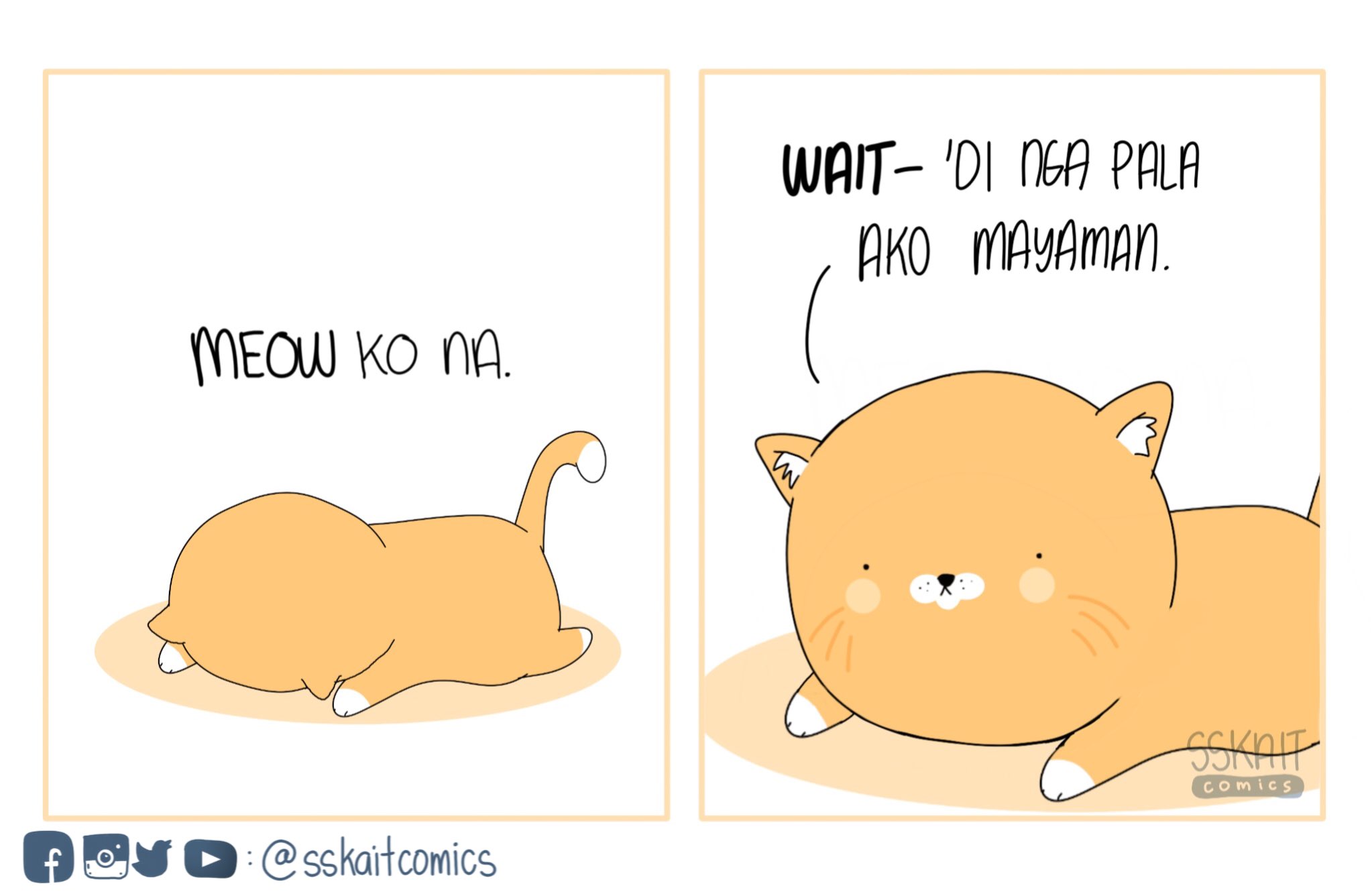 Sudden Realization Cat