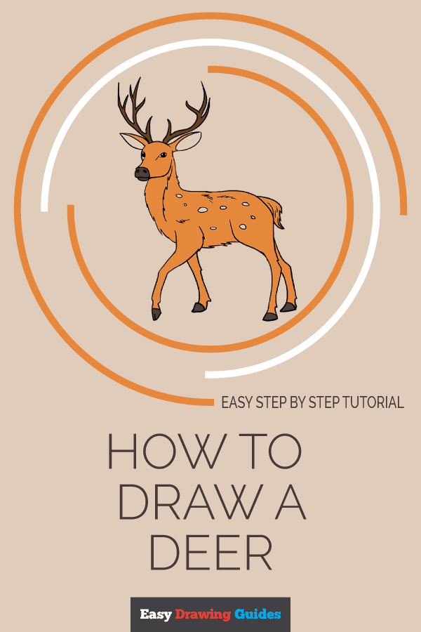 How To Draw A Deer Head Step By Step For Kids