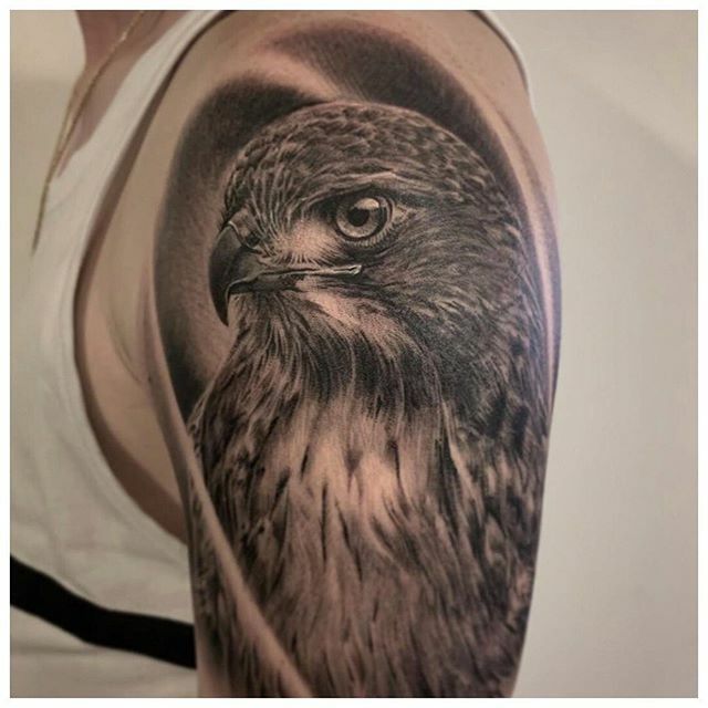 Red Tailed Hawk Tattoo Design