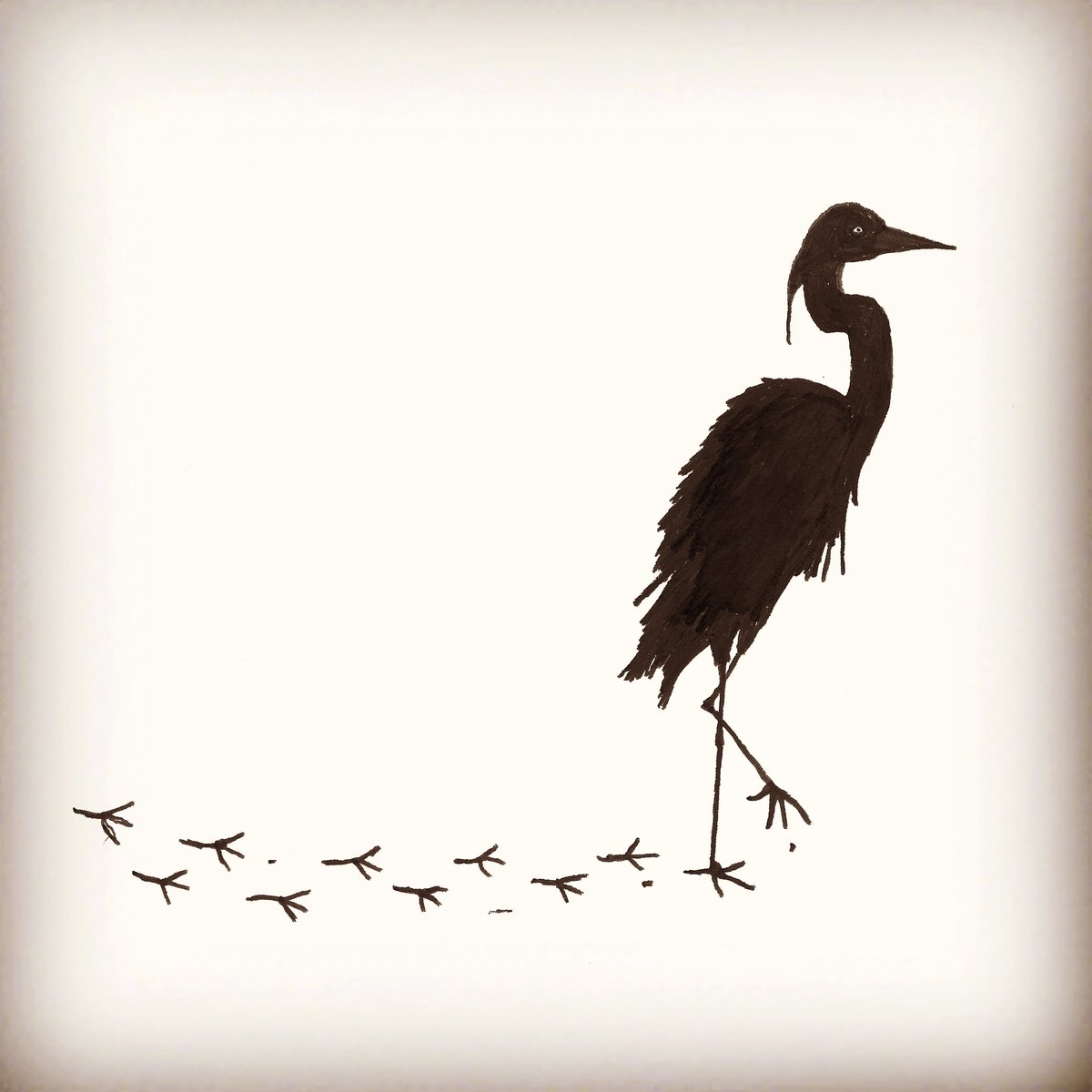 Twoucan - Edinburgh Inky Fox (@EdinburghFoxInk)