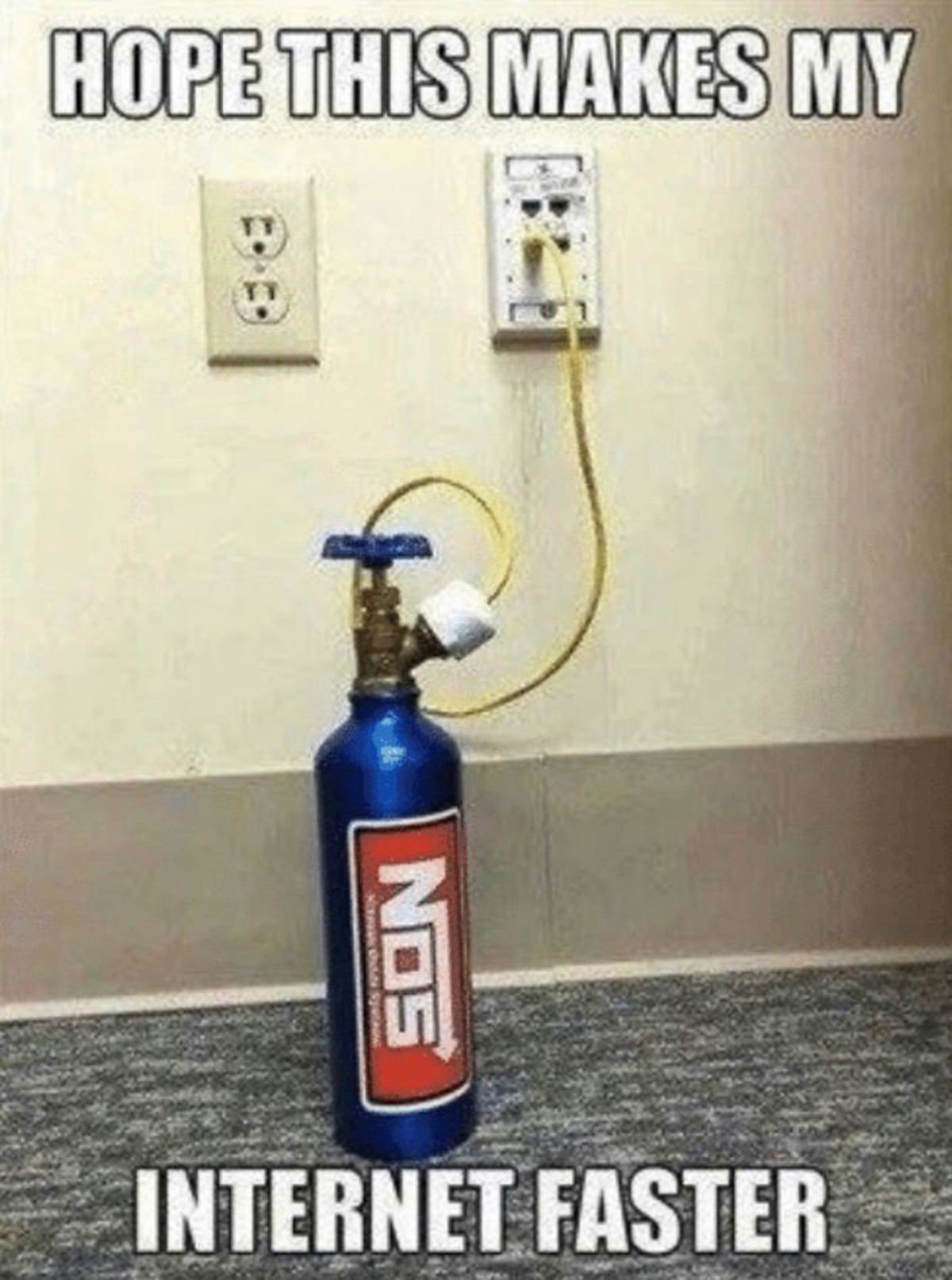 Hyper Speed Memes The 29 Funniest Ferret Memes, Ranked