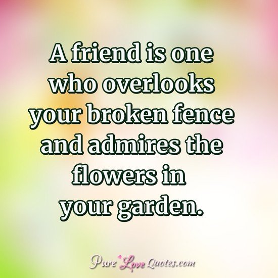 Friendship Quotes Flower Fence Inkology On X: "Today Is Best Friends