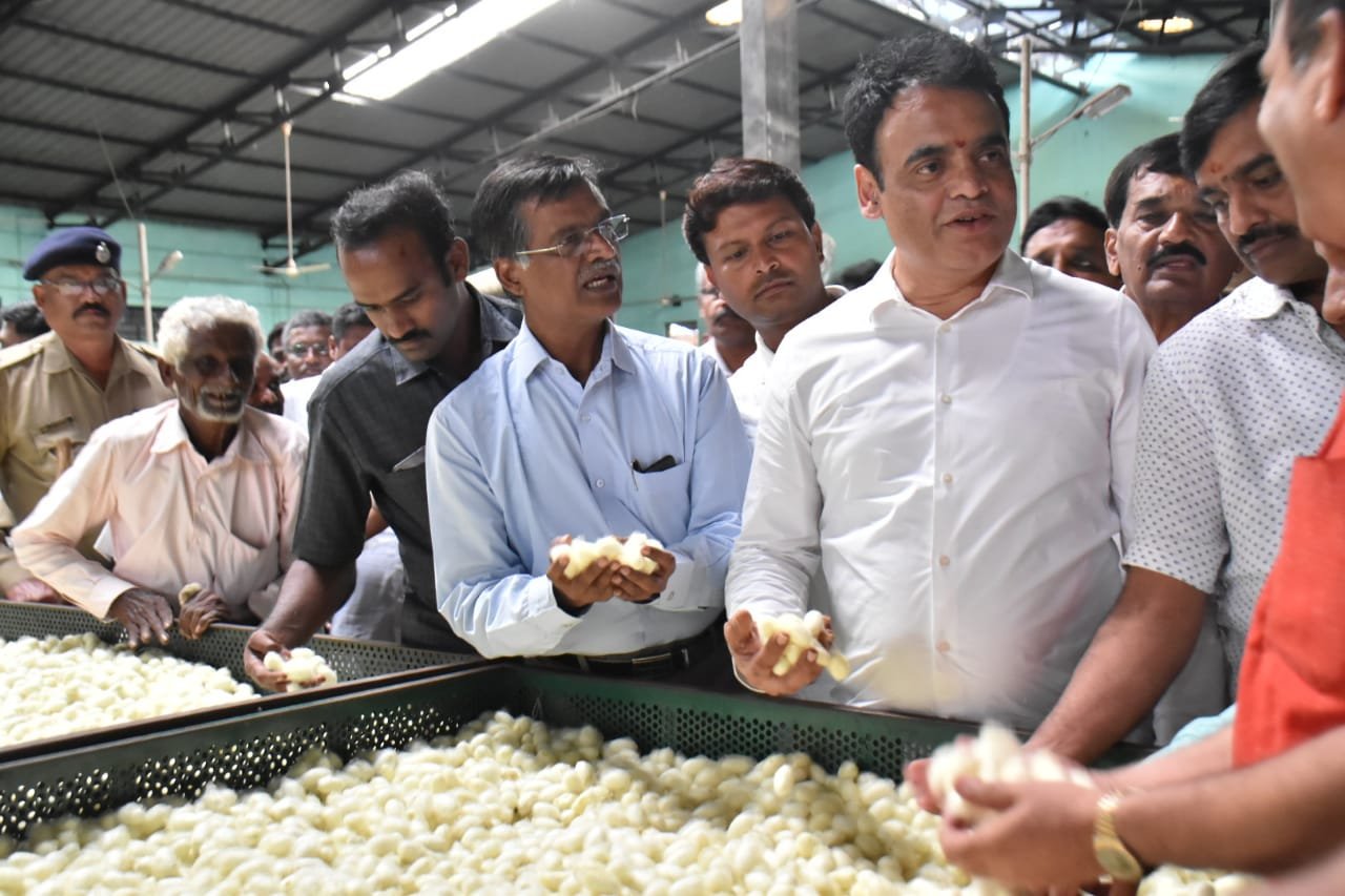 Marketing Of Cocoons