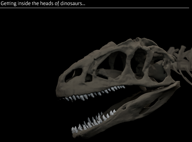 What do dinosaur brains look like? - Togetter [トゥギャッター]