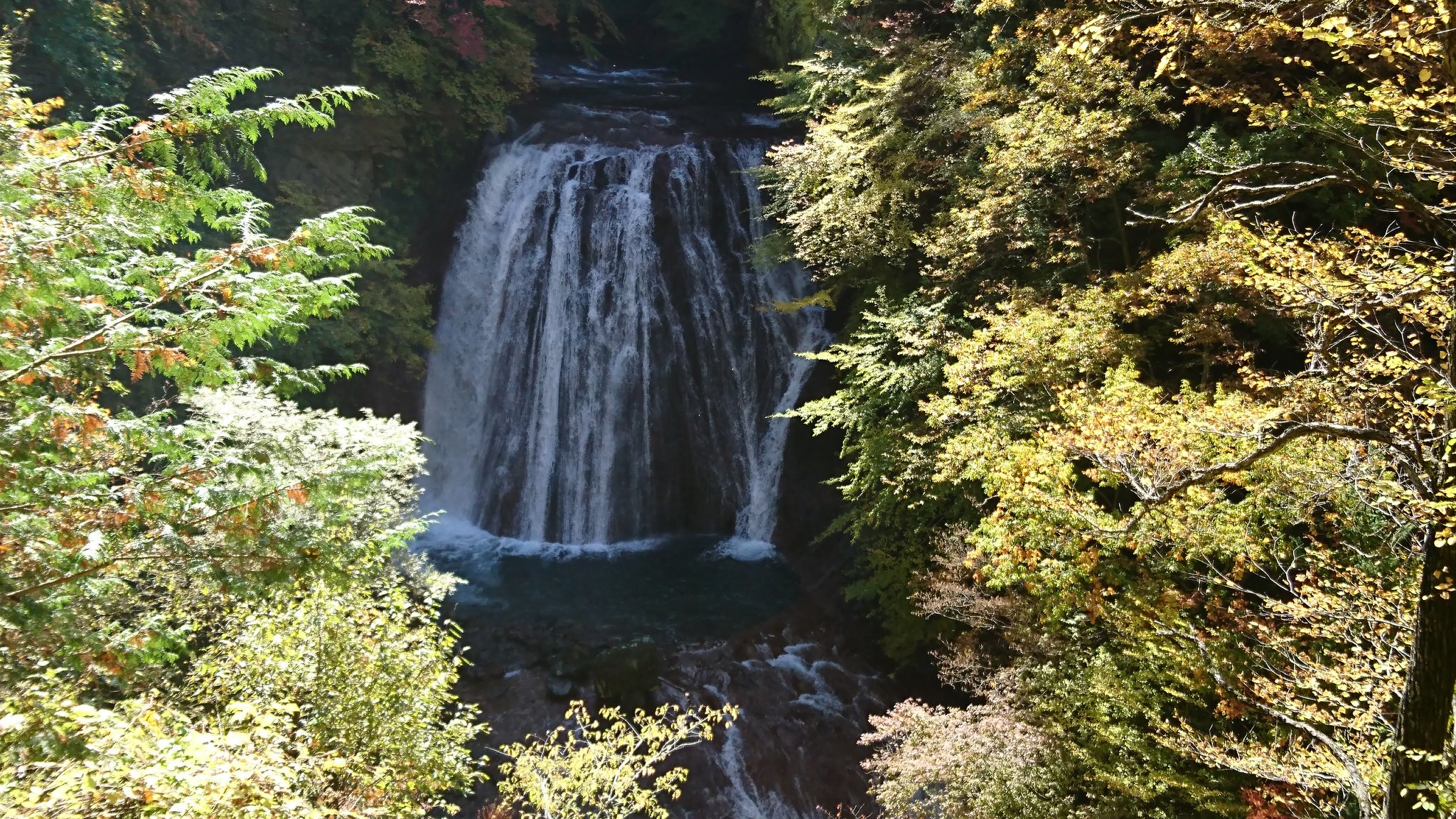 BARON on Twitter: "20年ぶりくらいかねぇ。 https://t.co/lu0F3dqkSw" / Twitter