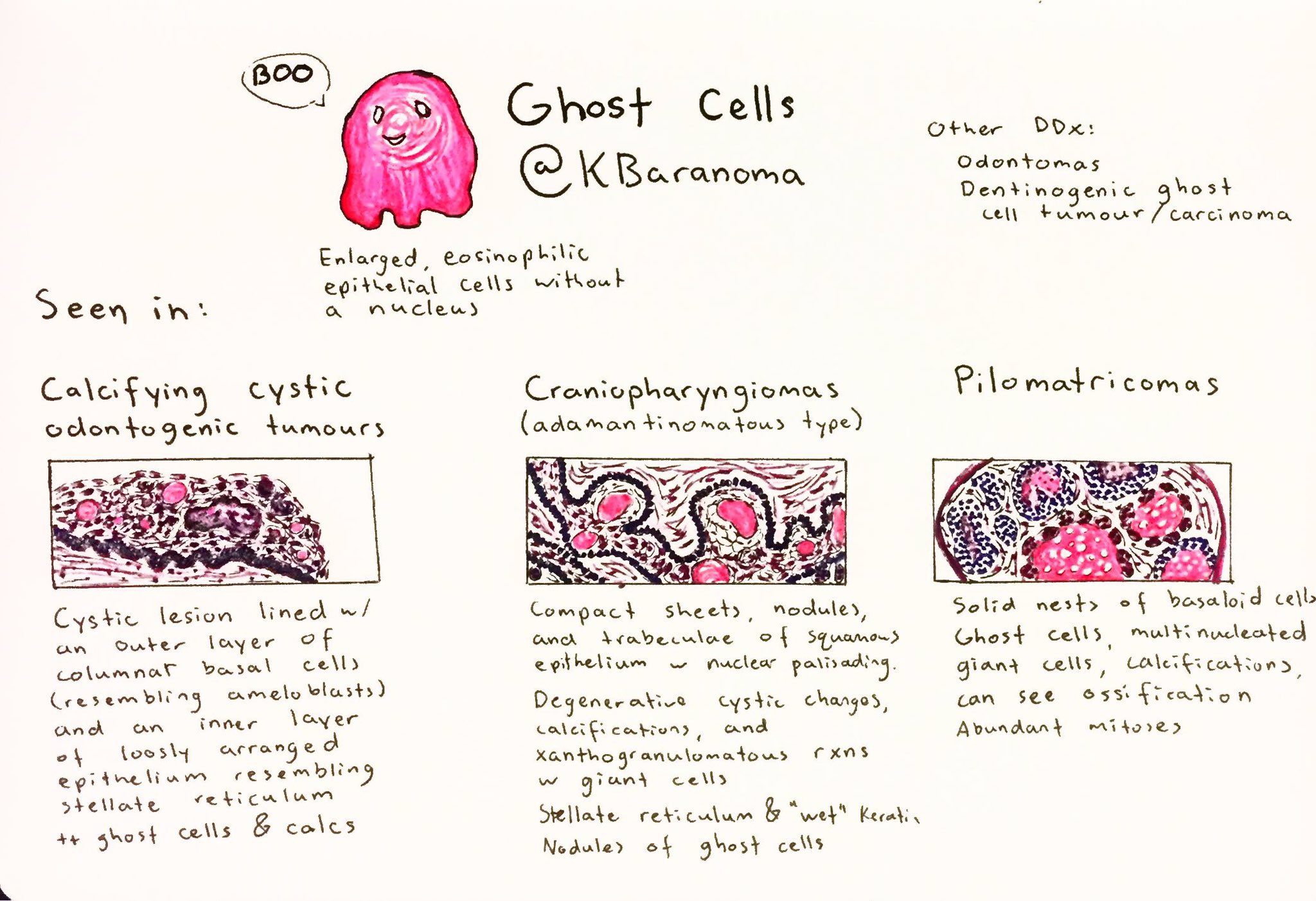 Ghost Cells