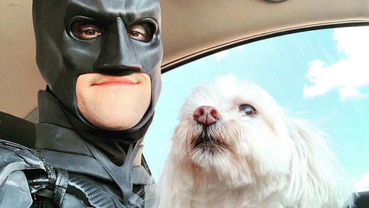 60 Second Docs on Twitter: "9 out of 10 very good boys like this hero, @batman4paws"