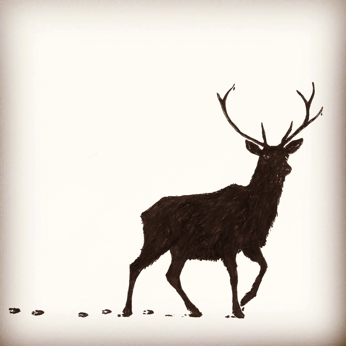 Twoucan - Edinburgh Inky Fox (@EdinburghFoxInk)