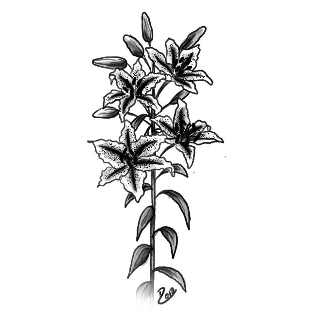 Dr. Daria Chrobok (@DC_SciArt) さんのイラスト・マンガ作品まとめ (15 件) - Twoucan