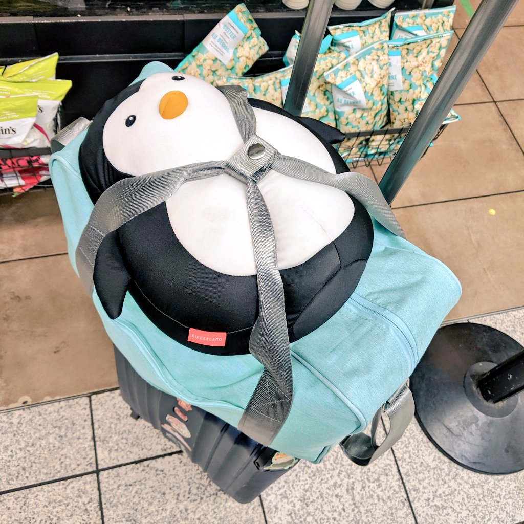 「He is secured, and ready to fly ️ 」|Sabtastic 🎨🐥のイラスト