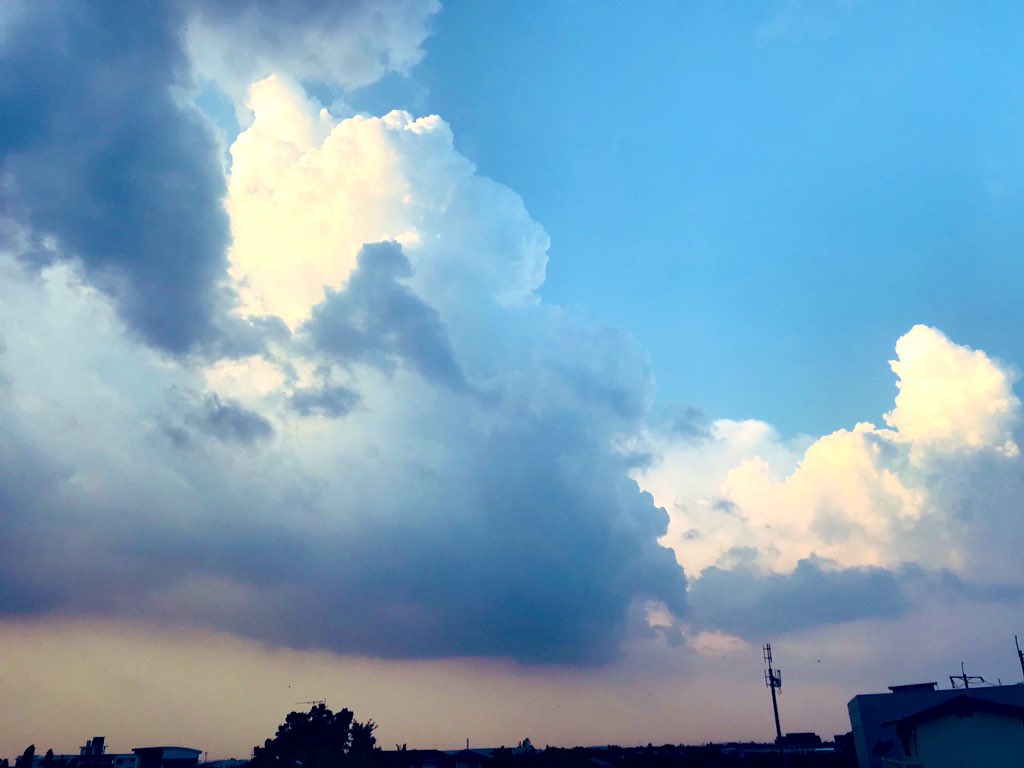 Panida Suwan (@PanidaSuwan1) | Twitter