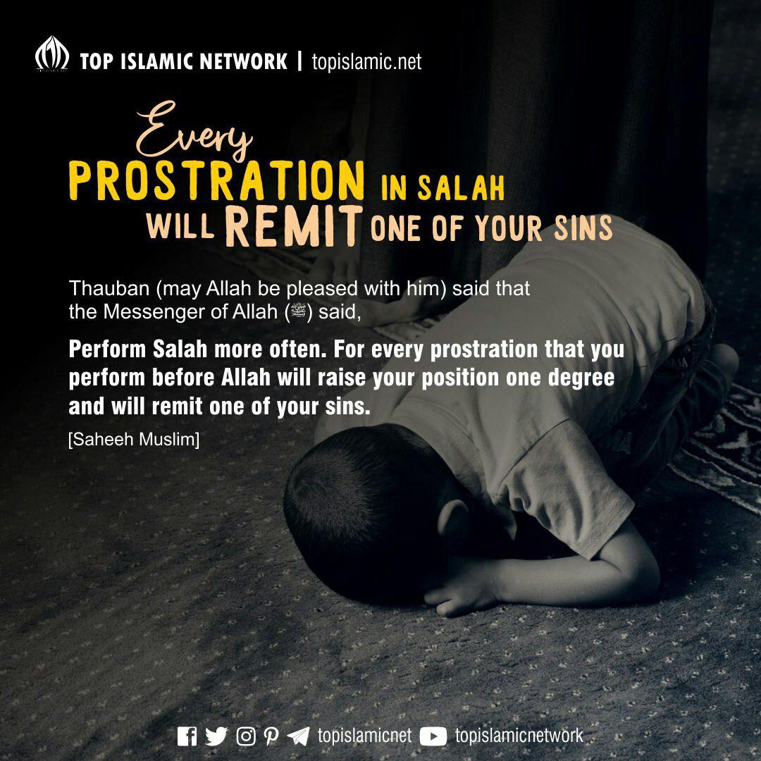 Prostrate Islam