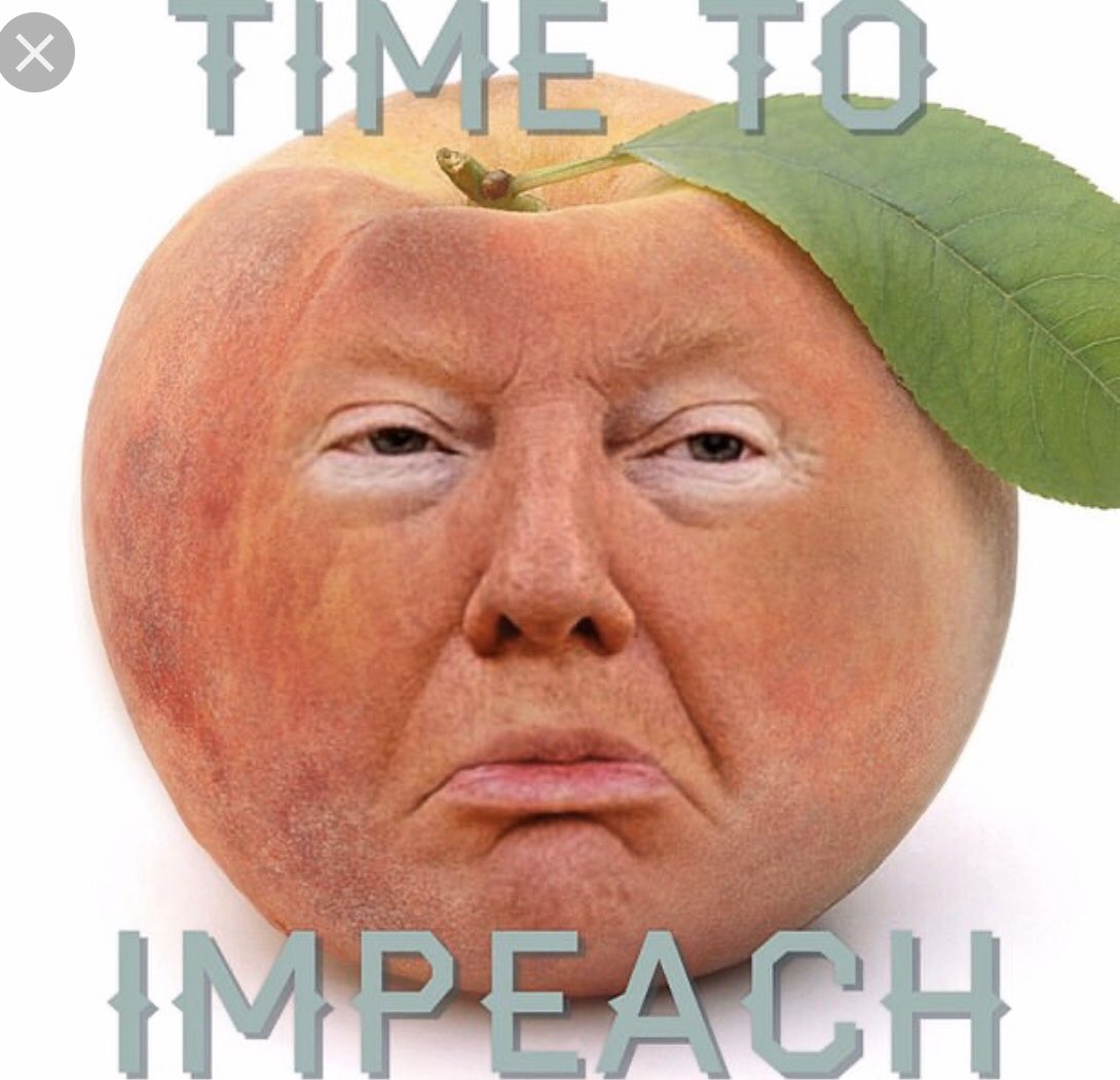 Michael Gangi's Instagram, Twitter & Facebook on IDCrawl