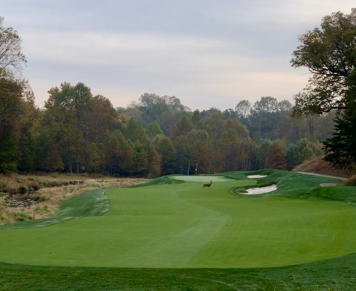 Golf Memberships, Maryland Golf Clubs | TPC.COM | TPC Potomac