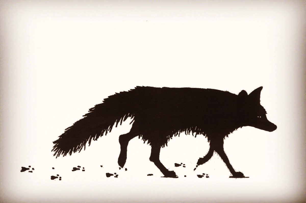 Twoucan - Edinburgh Inky Fox (@EdinburghFoxInk)