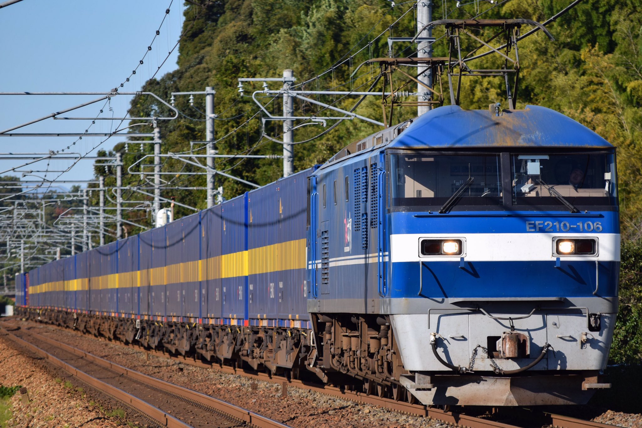 のからぎ on Twitter: "2019.11.08 2059レ 西濃カンガルーライナー EF210-106牽引(代走) 米原〜彦根間にて 風は強いですが、雲の心配は全くない快晴の中、桃 ...