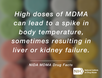 Mdma Effects On The Body