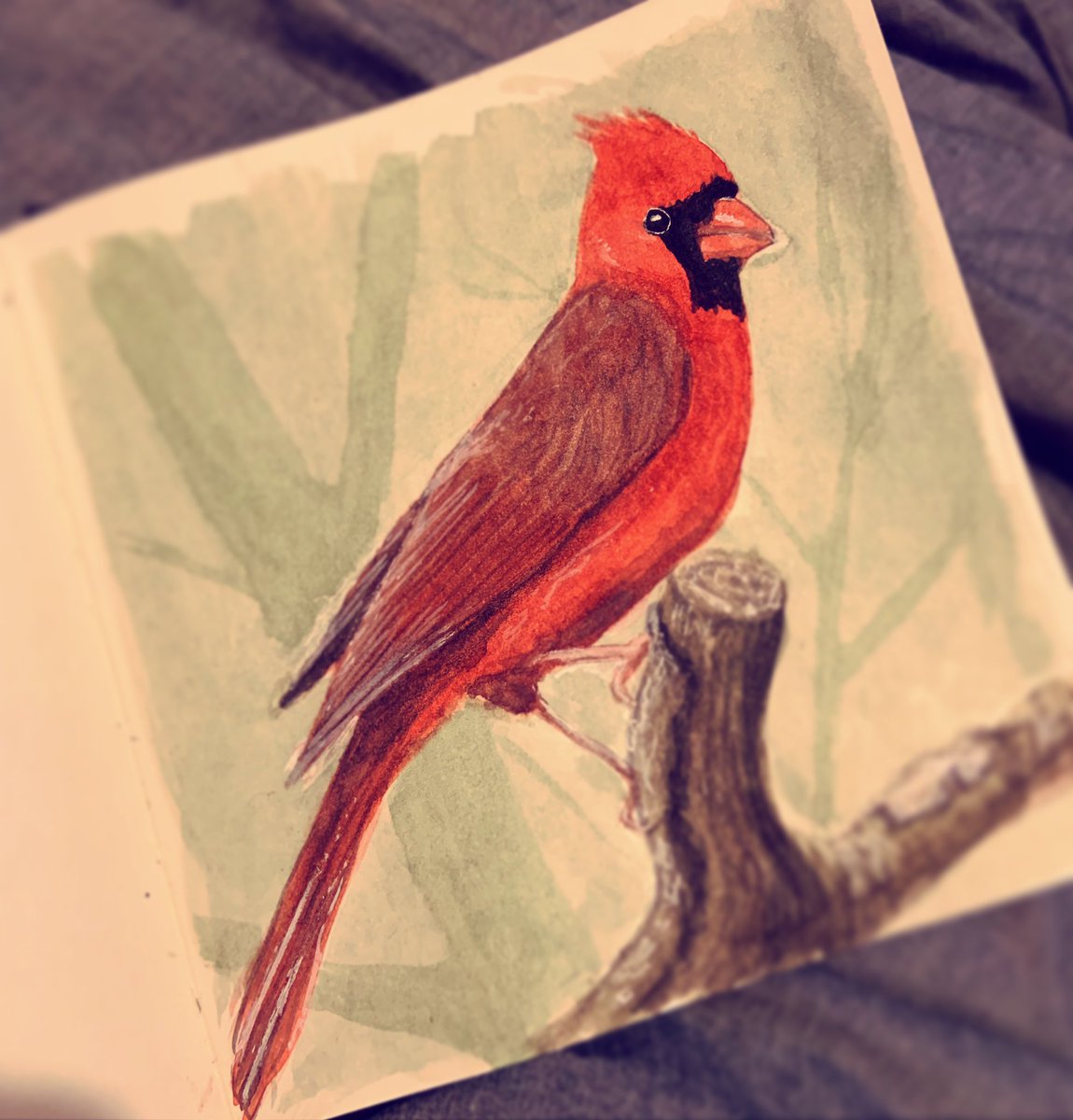 Twoucan - Maggot Queen (@maggotqueens)