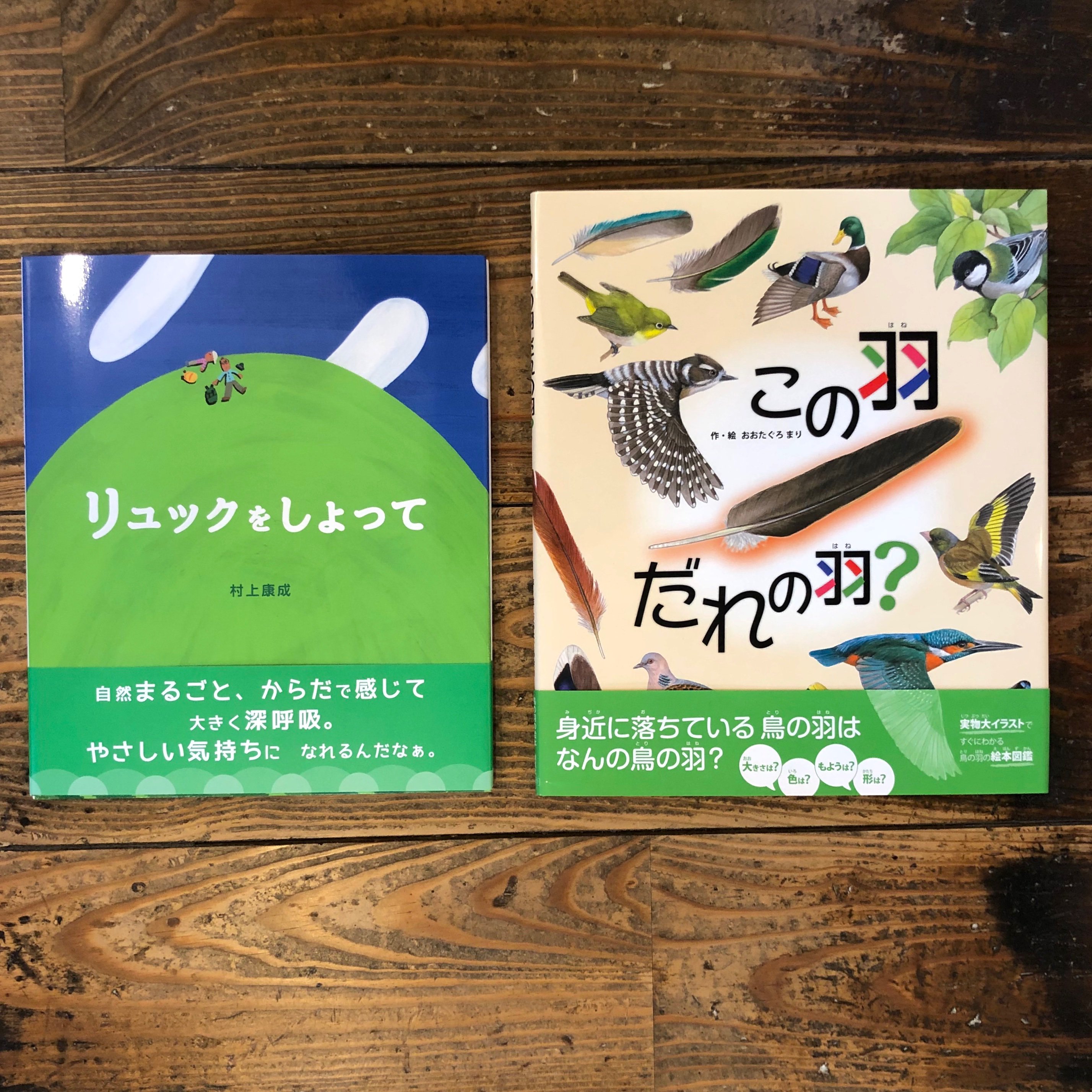本・中川 On Twitter 【新・再入荷】 「あの日からの或る日の絵とことば 」編 筒井大介 創元社 「水の絵本」作 長田弘 絵 荒井