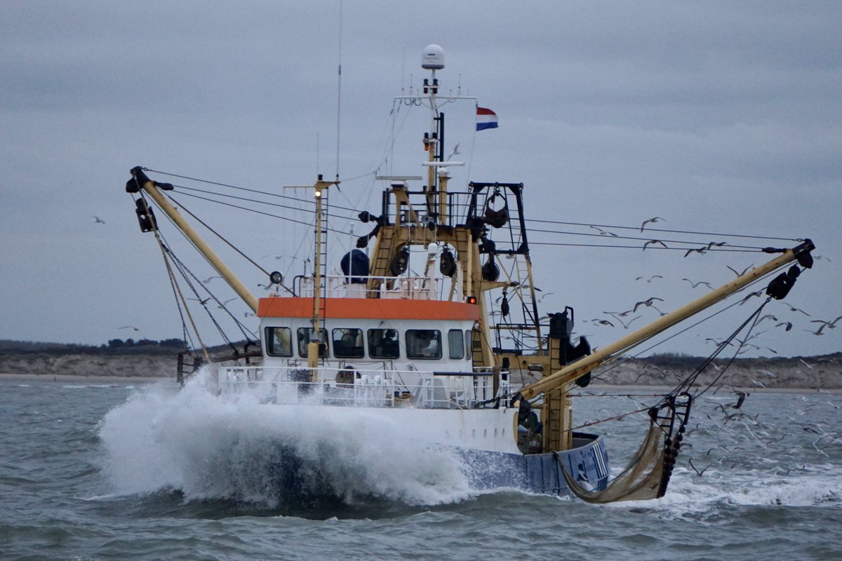 Zes Urkers voelen zich thuis op Britse bokker - Visserij.nl