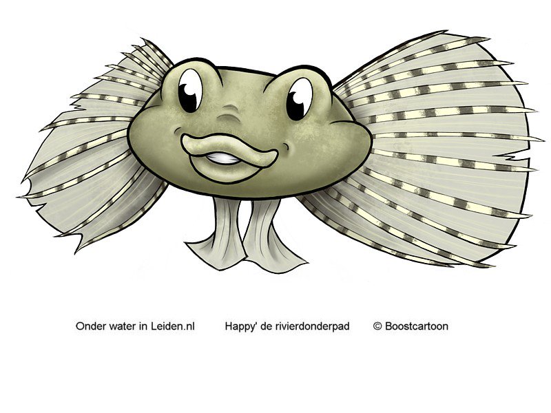 Draw Round Goby