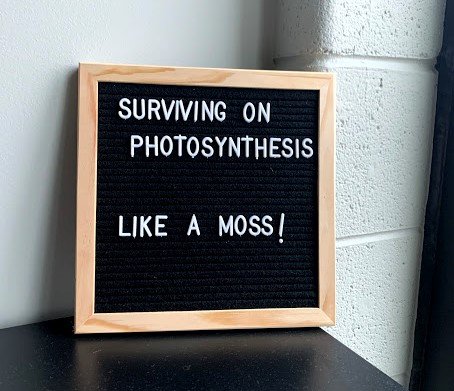 Photosynthesis Joke