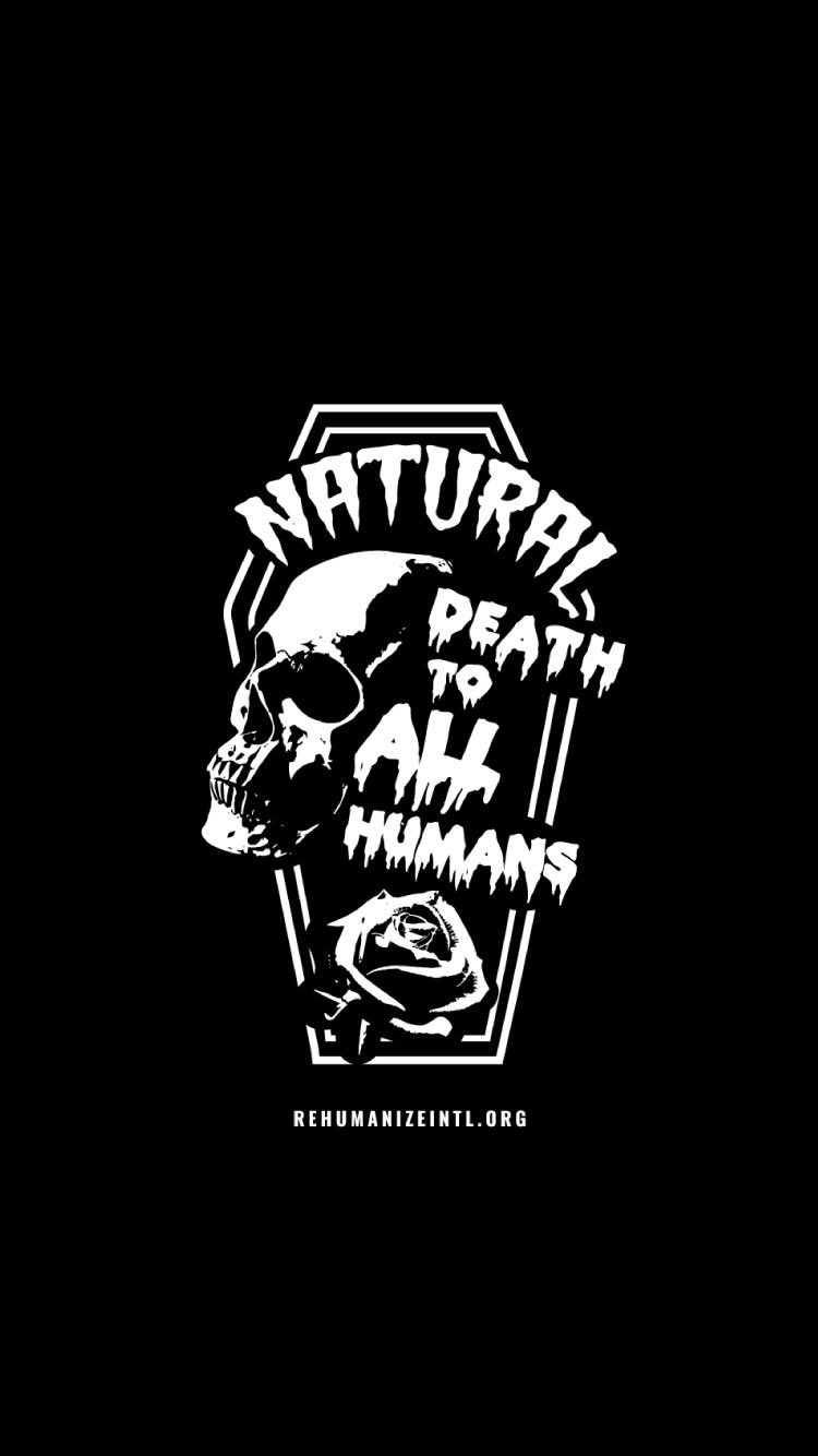 Integrity Skull Logo