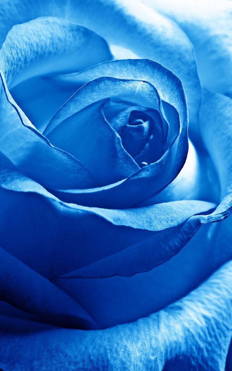 ksya (@sya_bby) | Twitter