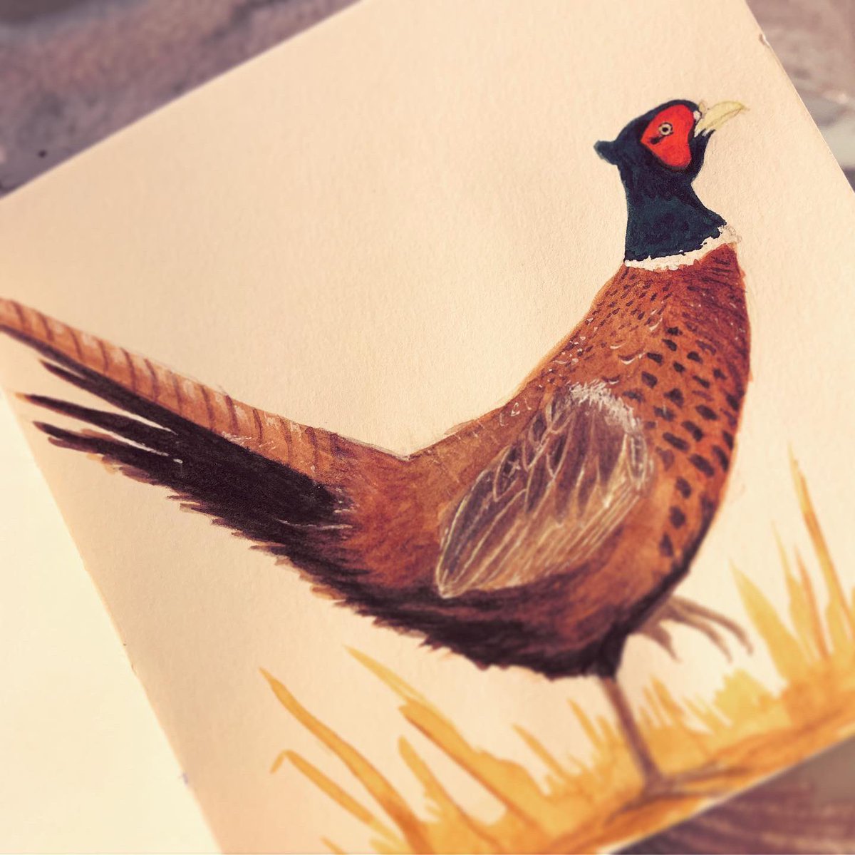 Twoucan - Maggot Queen (@maggotqueens)