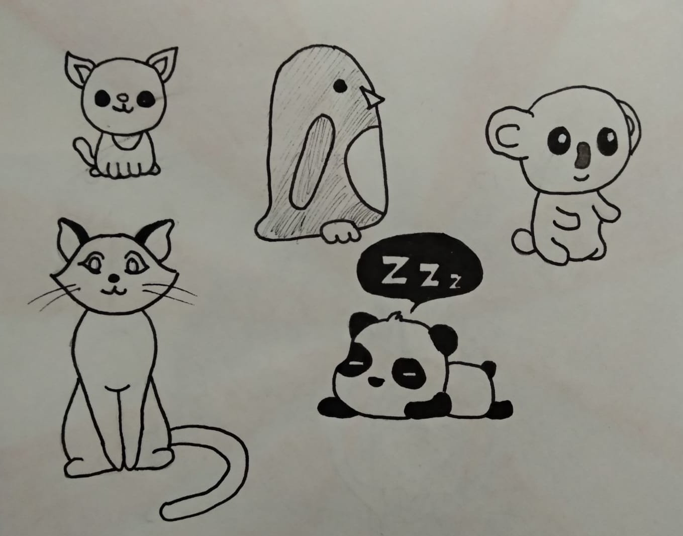 Dibujos De Animales Tumblr