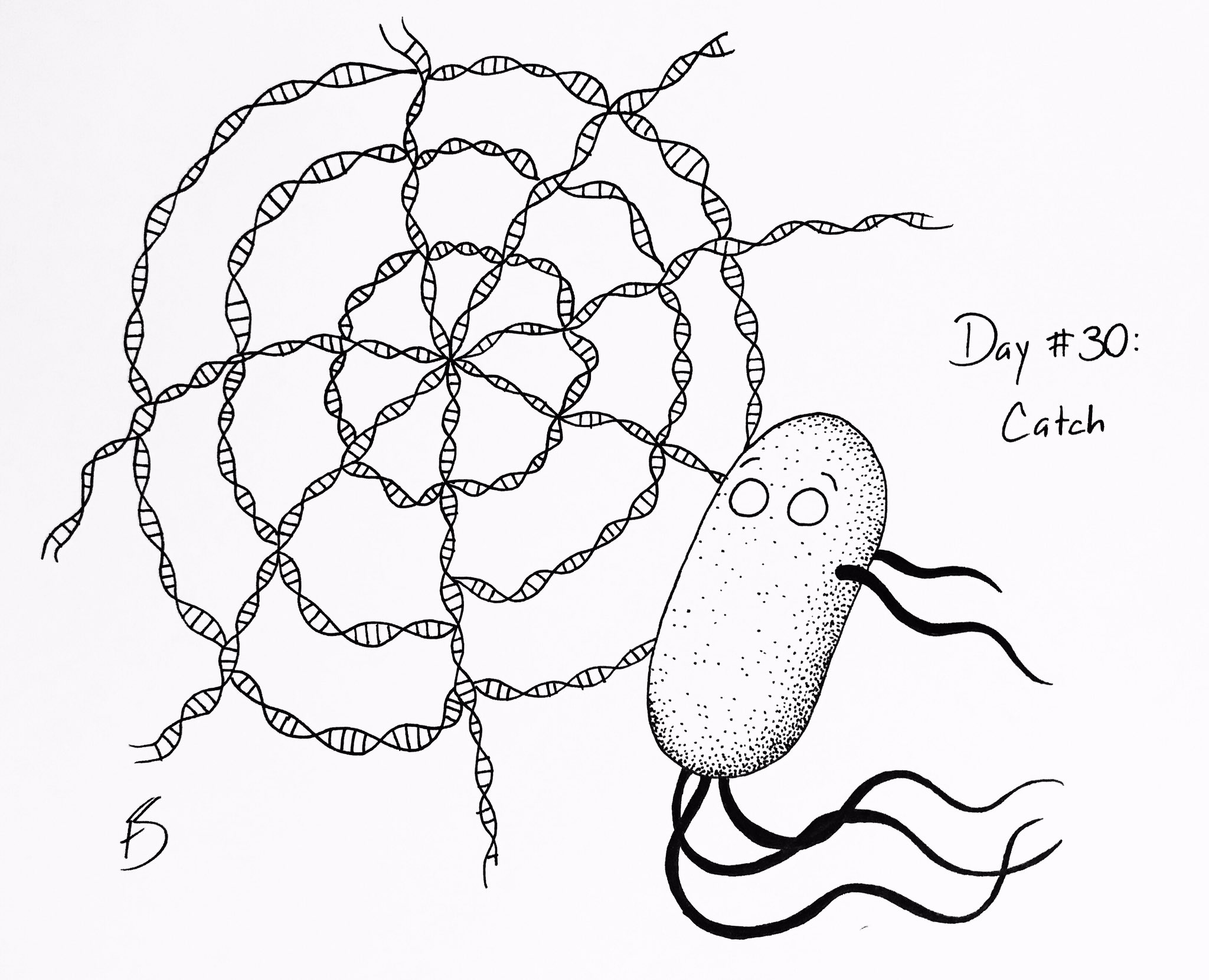Simple Bacteria Drawing