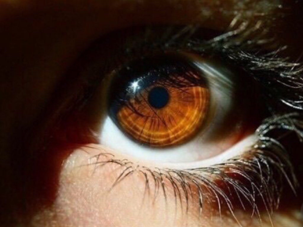 Brown Eyes In The Sun