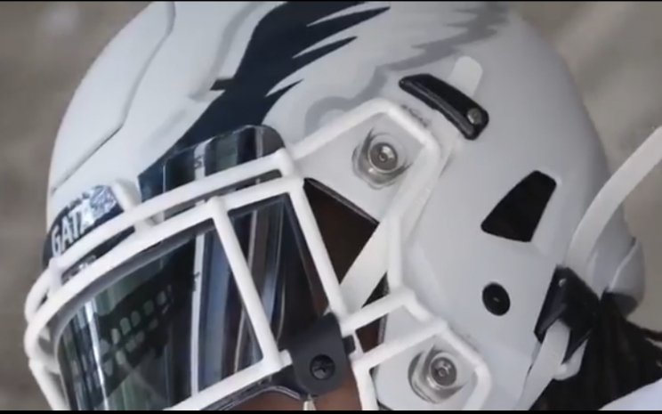 Eagle Wing Helmet Logos
