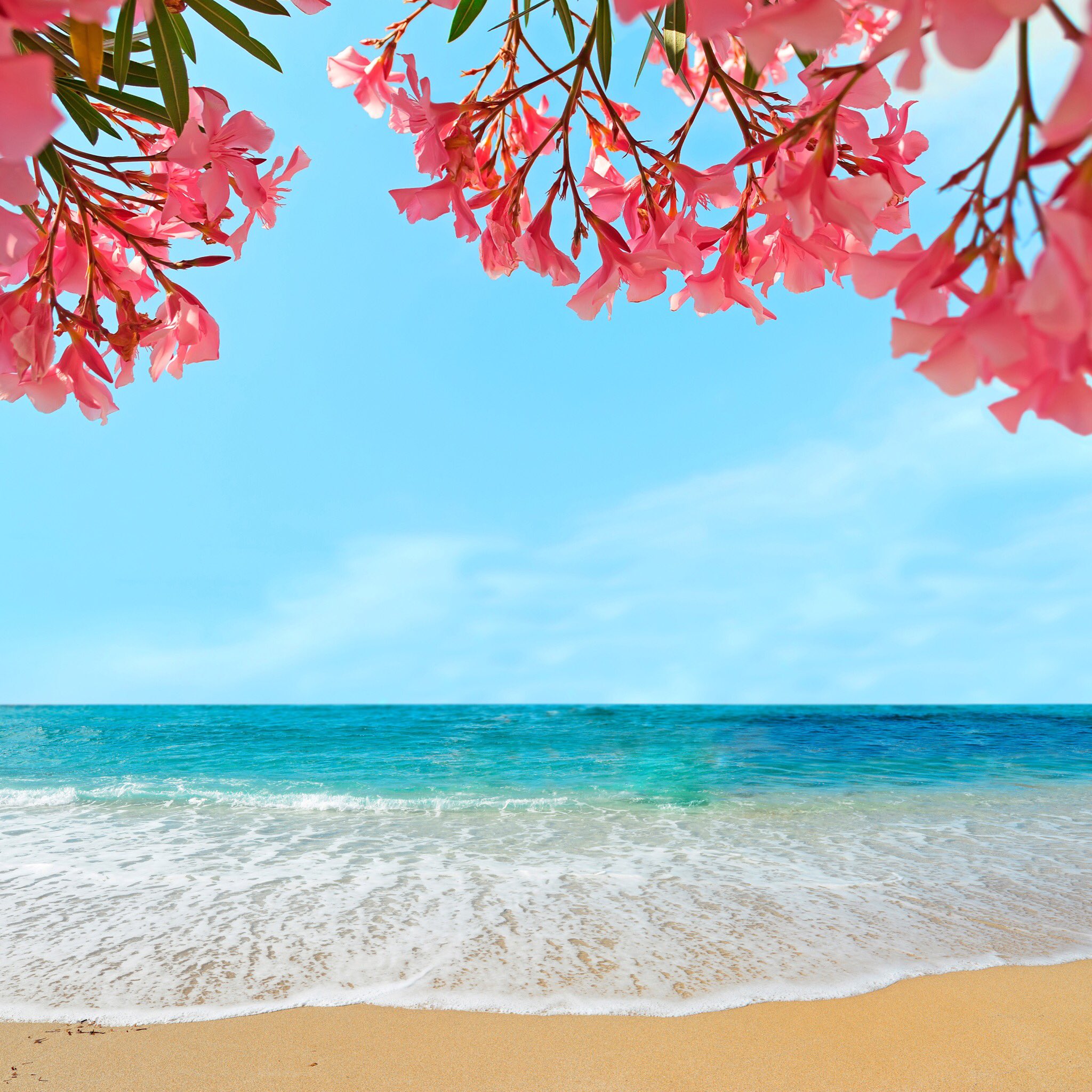Summer Background Twitter The Kimberley Cruise Had Twitter Asking: