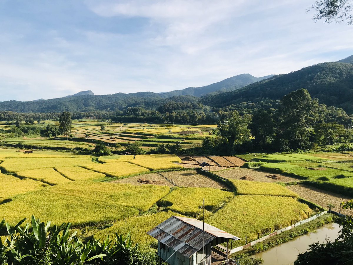 Panida Suwan (@PanidaSuwan1) | Twitter