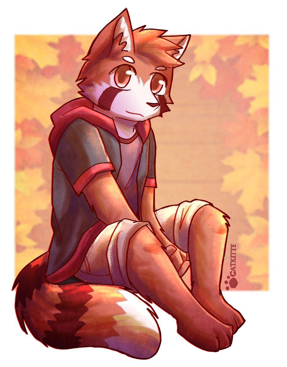 Anime Red Panda Boy