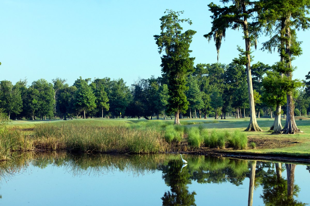 TPC Network Privileges | tpc.com