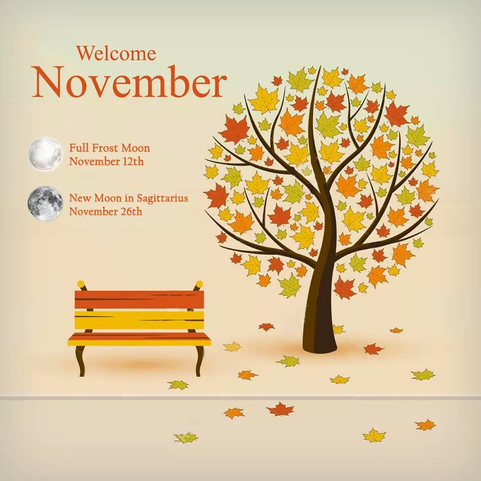 Welcome November