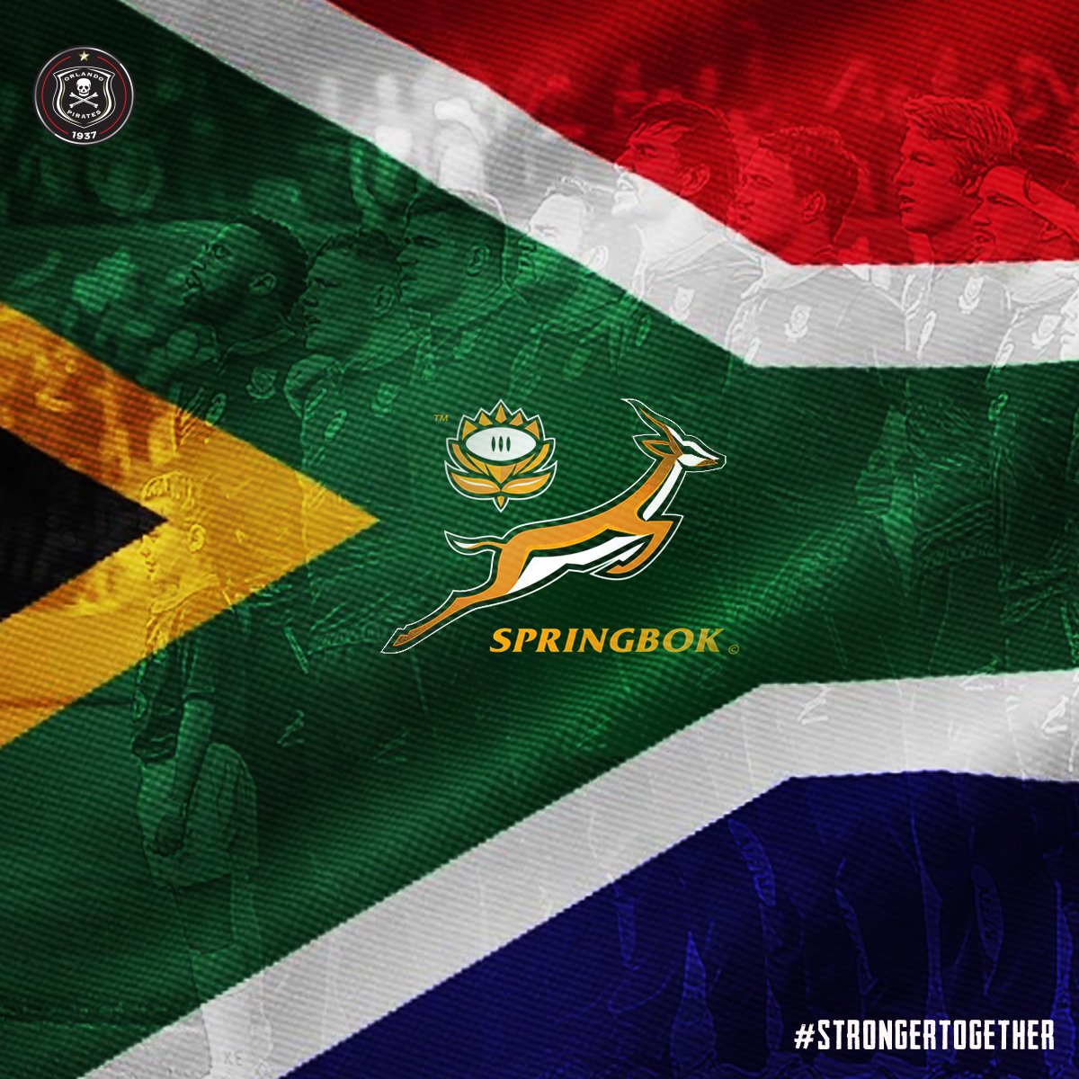 Springbok Logo Wallpaper