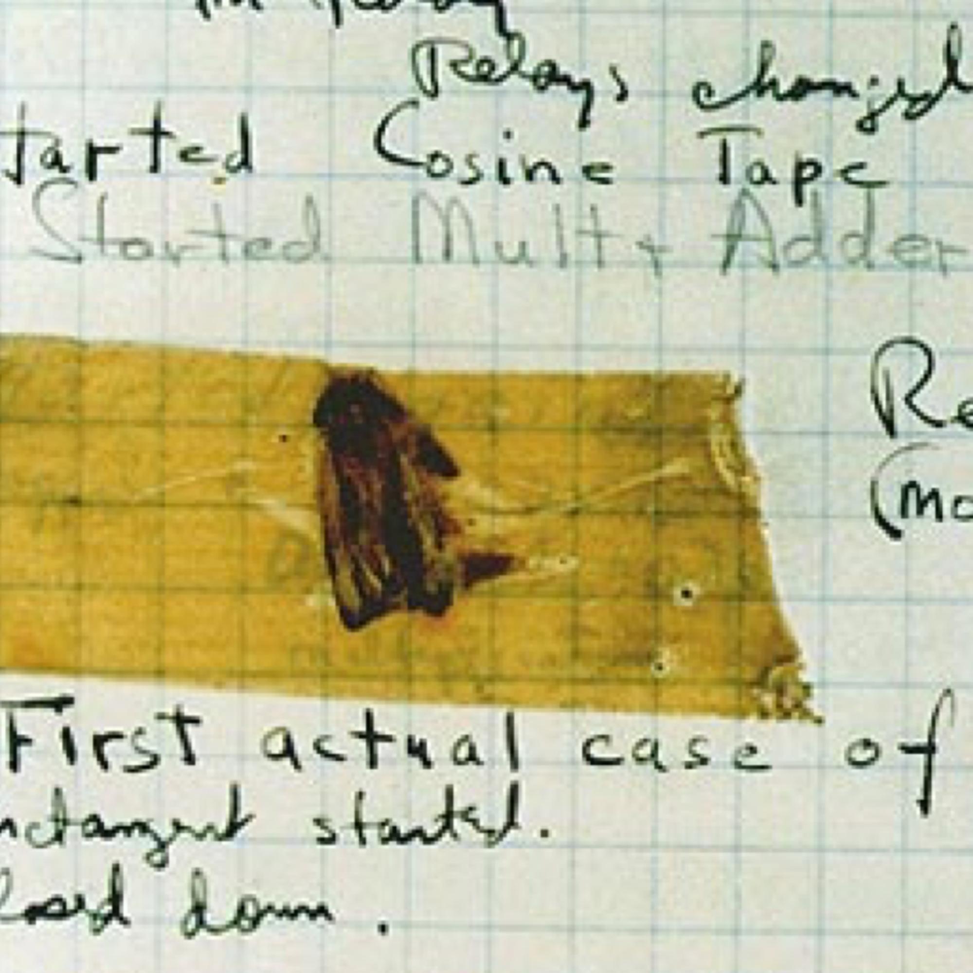 Grace Hopper Computer Bug