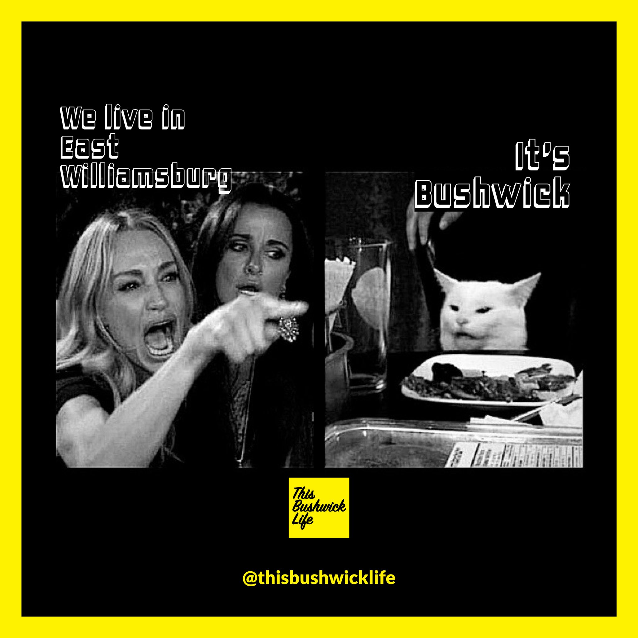 Funny Brooklyn Memes 21 Times 'Brooklyn Nine Nine' Got Us Chuckling