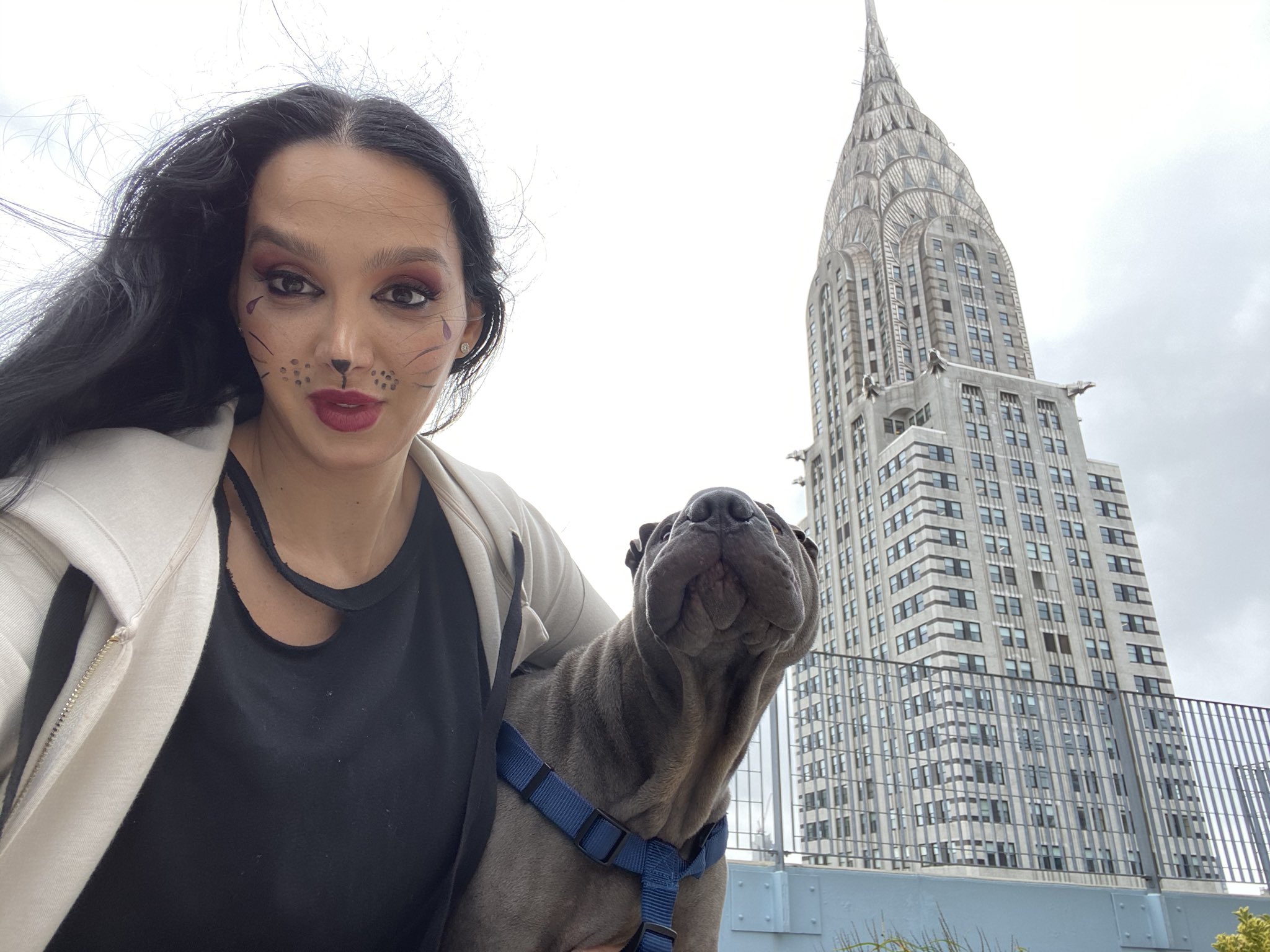 TW Pornstars - 1 pic. Amy Anderssen. Twitter. 9:16 AM - 3 Nov 2019