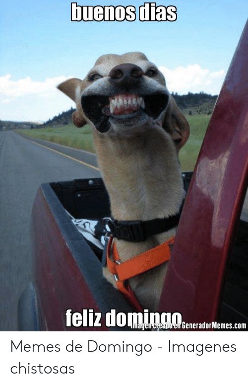 Memes Buen Domingo
