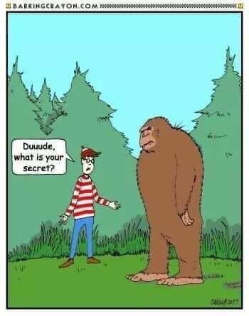 Funny Bigfoot Jokes
