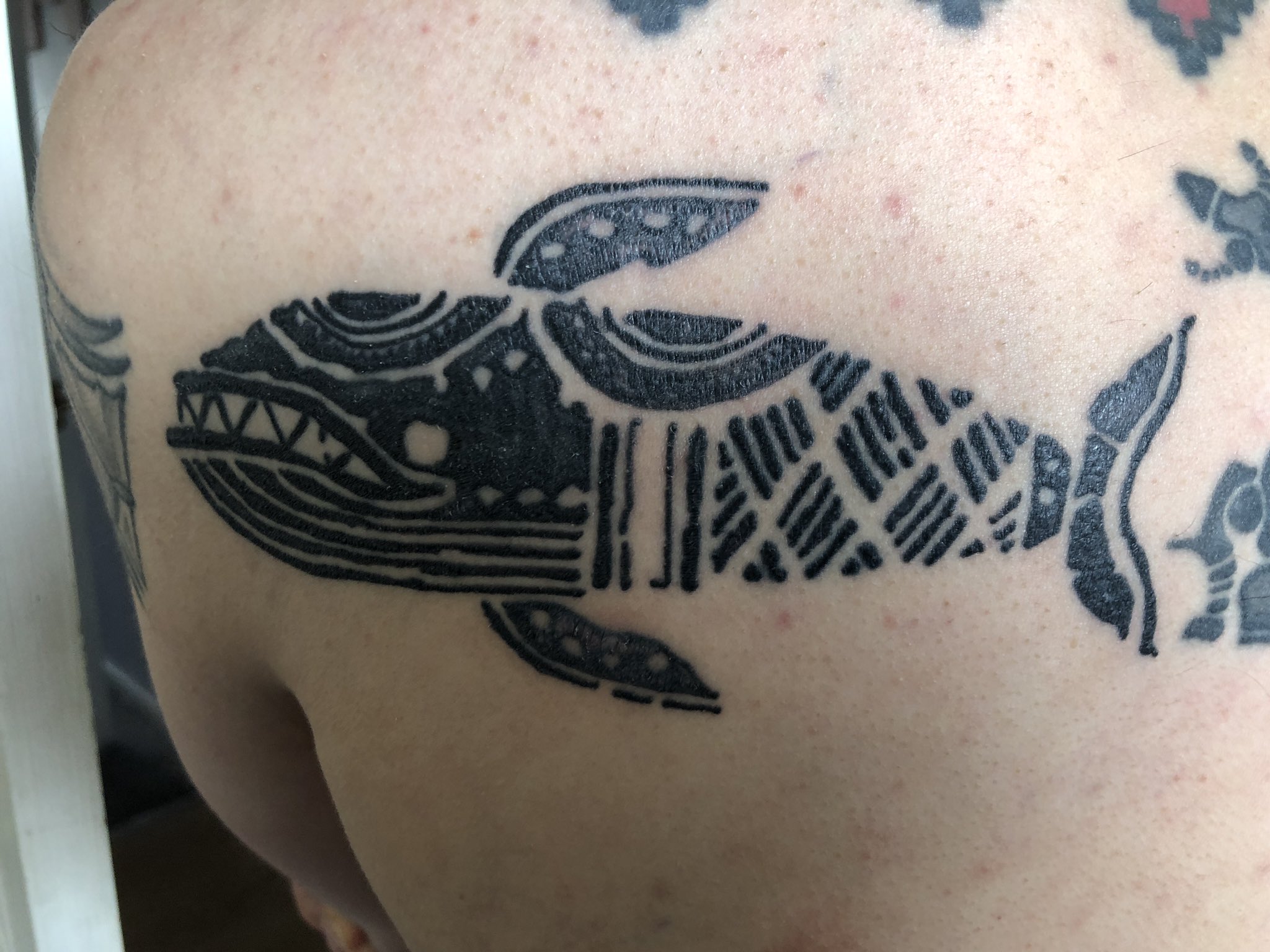 Wind Fish Tattoos 31 Fish Tattoos Ideas | Tattoos, Fish Tattoos, Koi