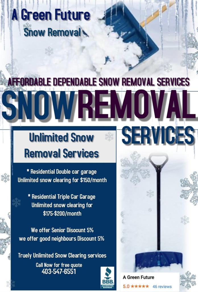 Snow Removal Flyer