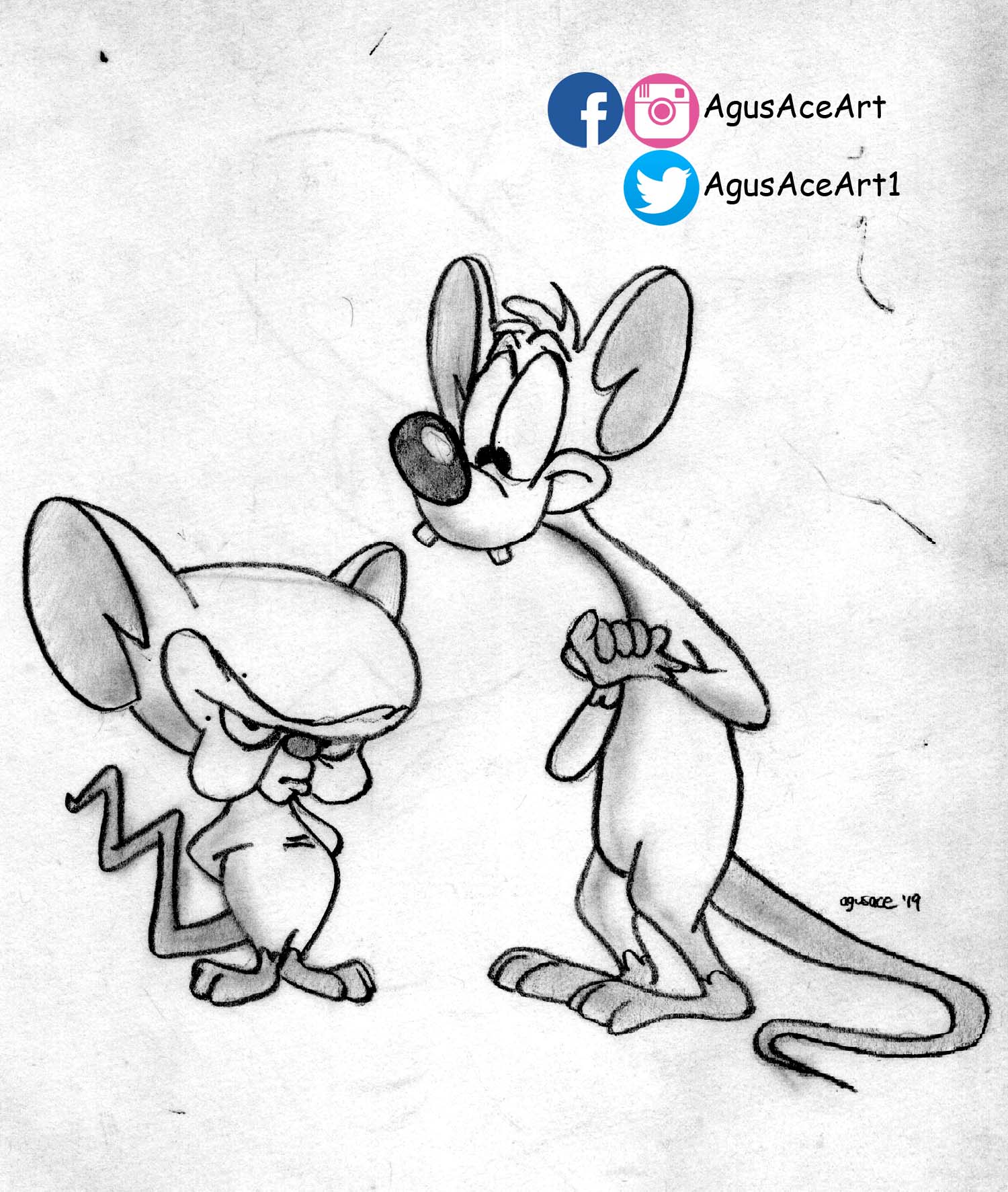 Pinky And The Brain Drawing