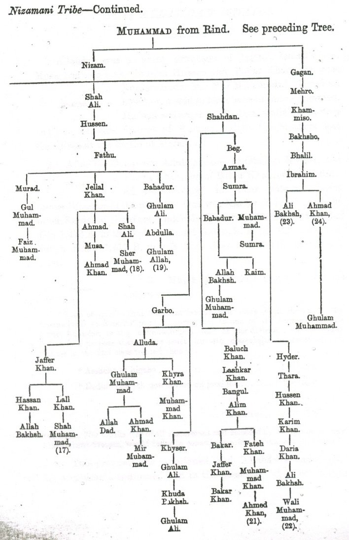 Muhammad Ali Genealoy