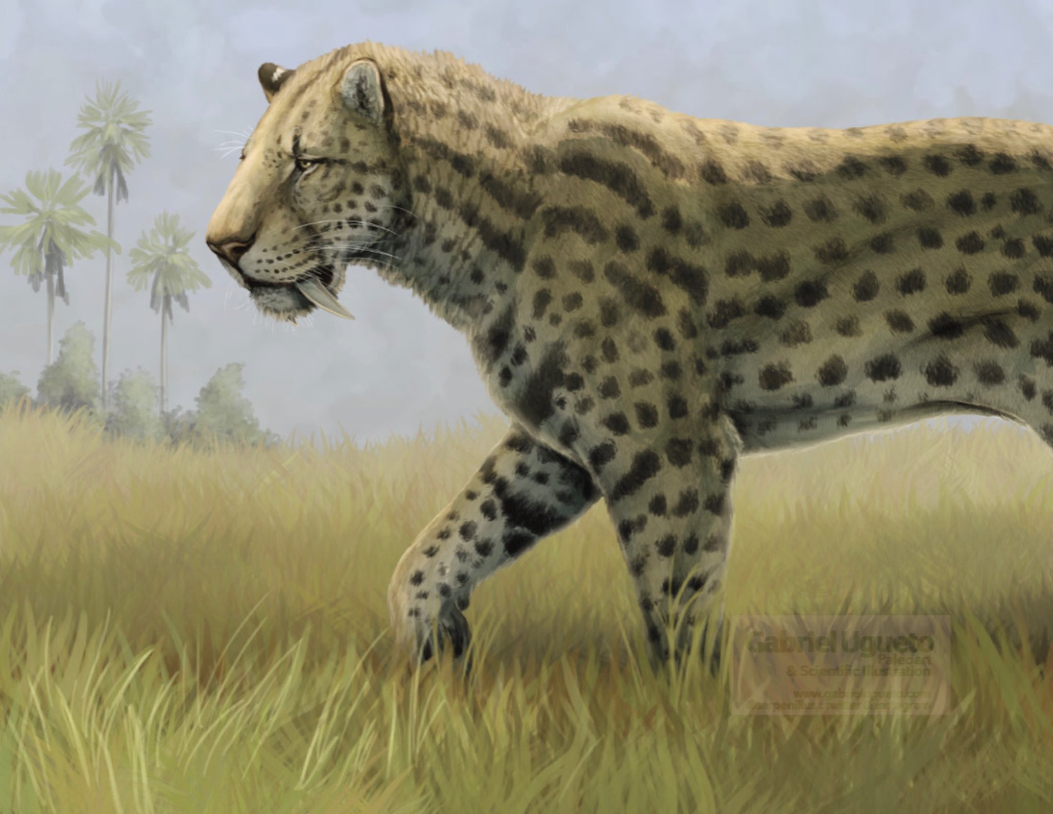 Walking With Beasts Dinofelis